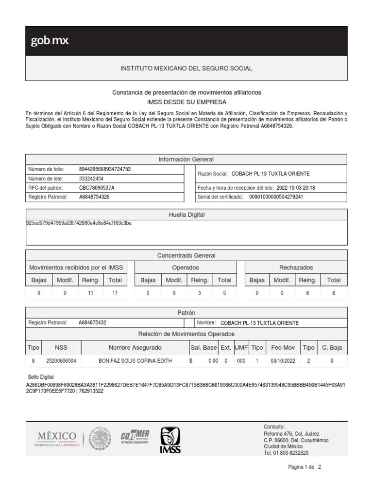 IDSE Atrasladostm041022 | PDF