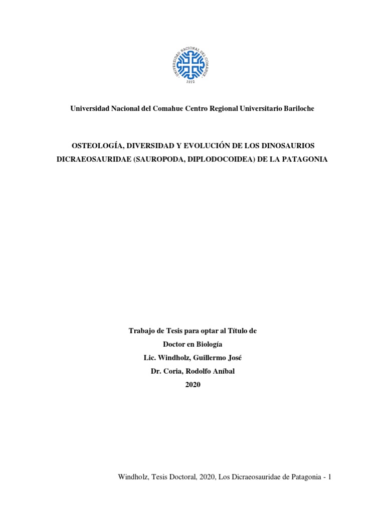 TESIS WINDHOLZ (Versión Final) | PDF