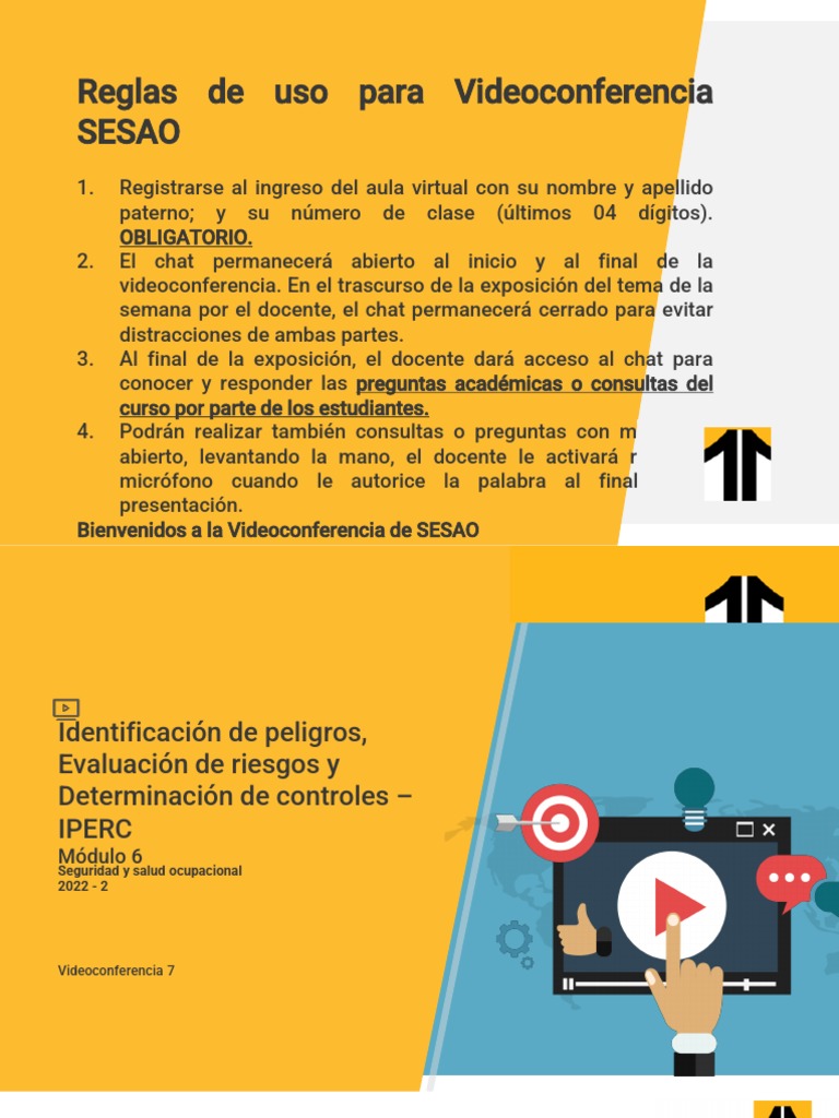 Reglas para Videoconferencia SESAO | PDF | Alergia | Lesión