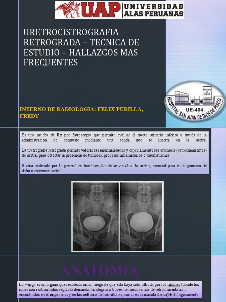 Uretrocistrografia Retrograda - Tecnica de Estudio - Hallazgos 2021 | PDF