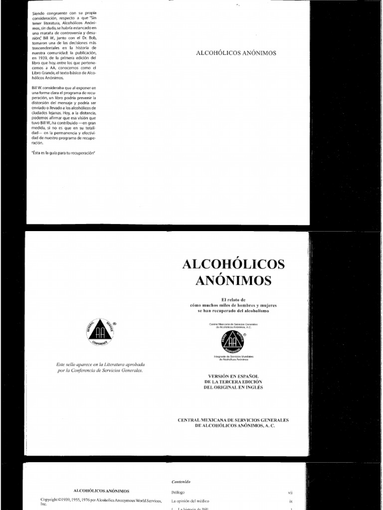 Alcoholicos Anonimos | PDF