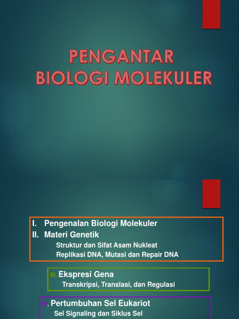 BIOMOL 2. Pengantar Biomol | PDF