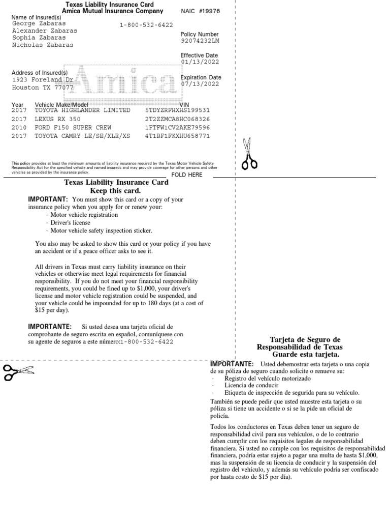 Texas Liability Insurance Card Details | PDF