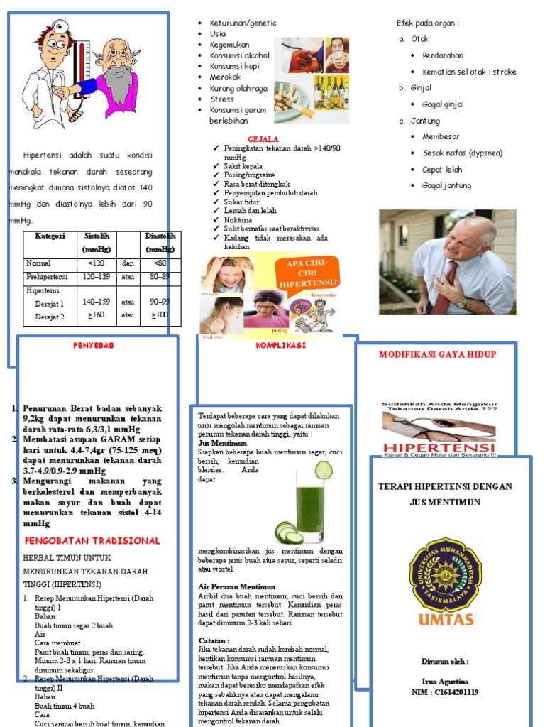 LEAFLET Hipertensi (Mentimun) | PDF