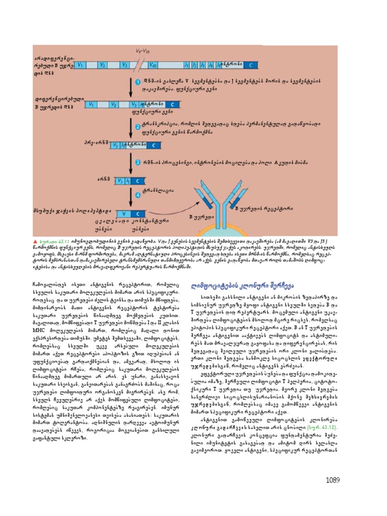 Biologia1 1101 1497 | PDF | Antigen | Kompleks Histokompatibilitas Utama