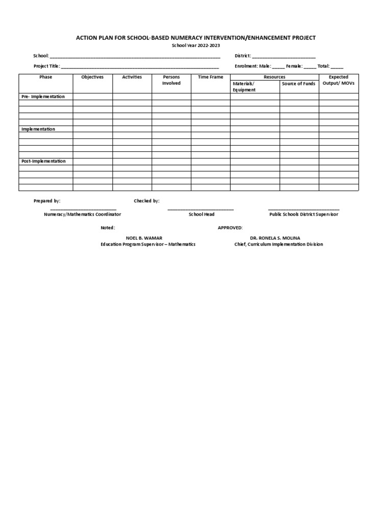 Action Plan - Numeracy | PDF