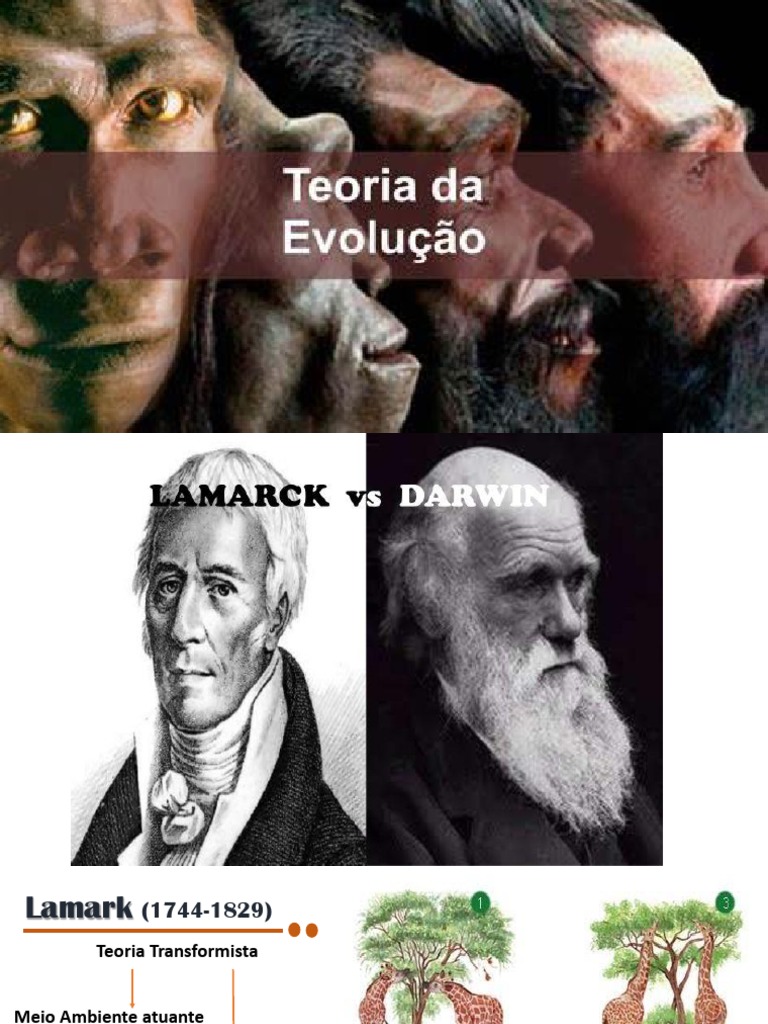 Teorias Evolutivas | PDF | Evolução | Seleção natural