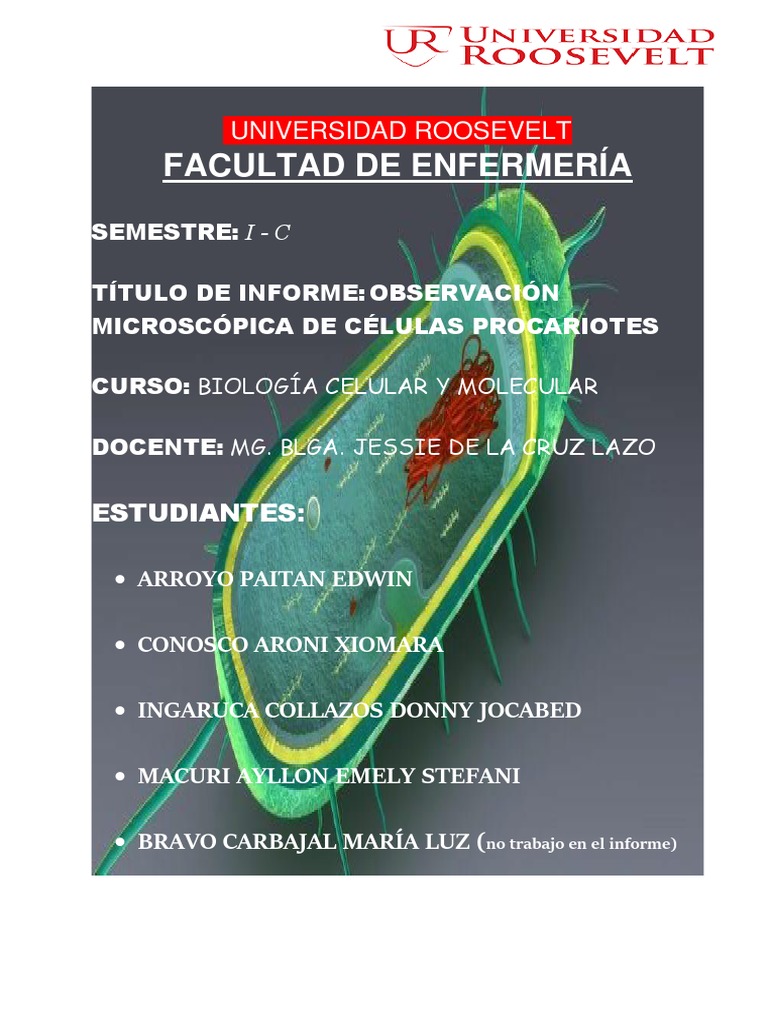 Celula Procariote | PDF | Biología Celular) | Glóbulo rojo