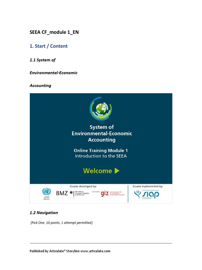 SEEA CF - Module 1 - EN | PDF | Computing | Economies