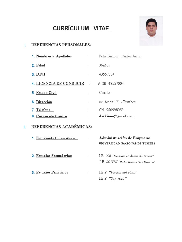 Currículum Vitae Javier | PDF