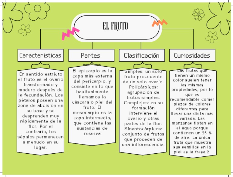 Mapa conceptual del fruto y sus partes | PDF