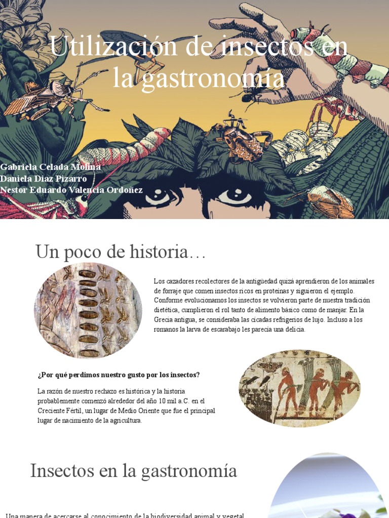 Utilización insectos gastronomía | PDF | Carne | Insectos
