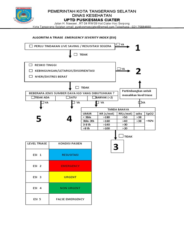 Algoritma Triase Pdf