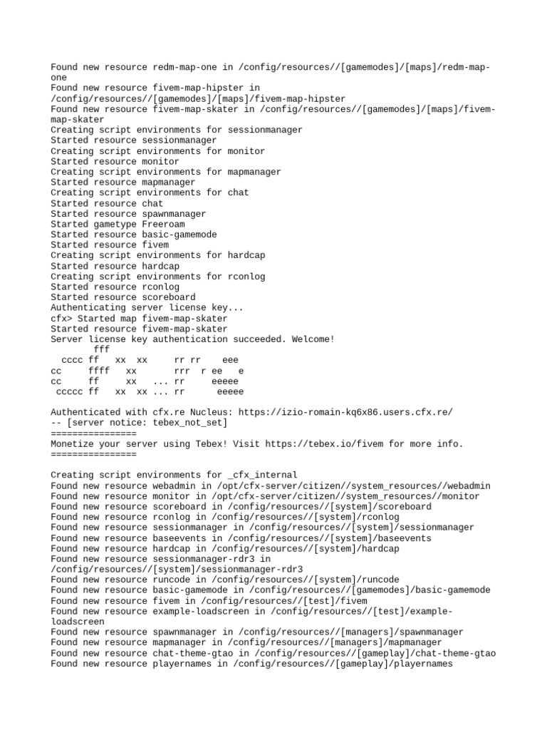Fivem Test Logs | PDF | Computing | Computer Engineering