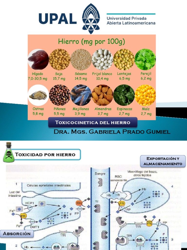 Toxicocinetica Hierro | PDF | Hierro | Farmacocinética