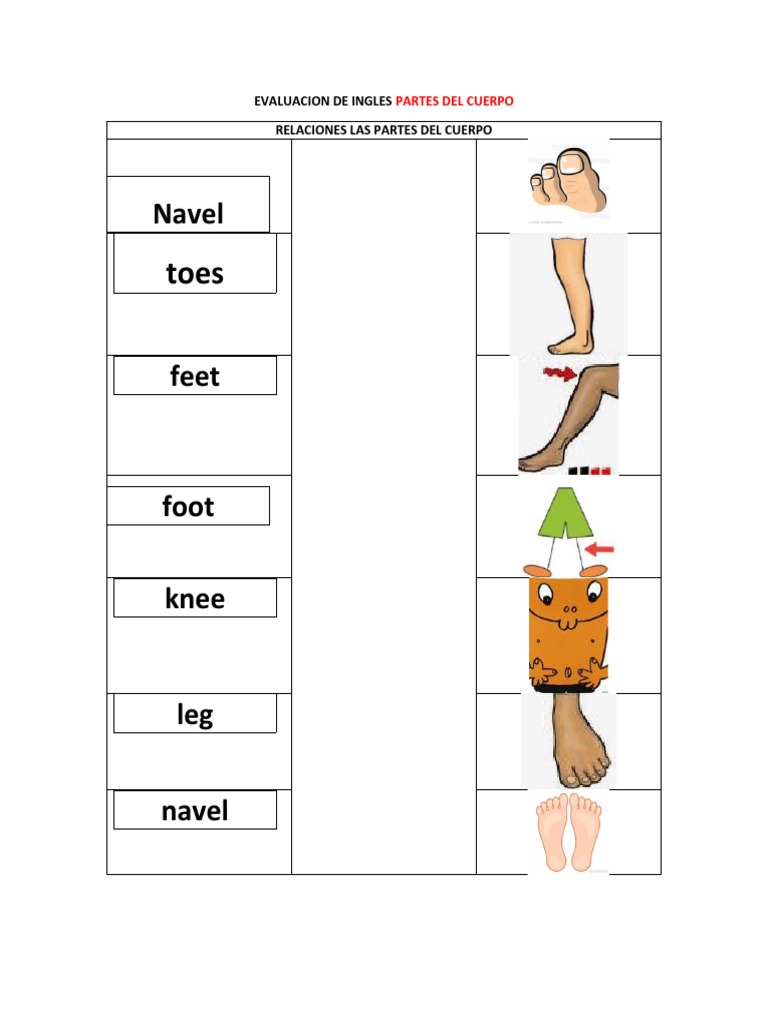Evaluacion De Ingles Partes Del Cuerpo Pdf