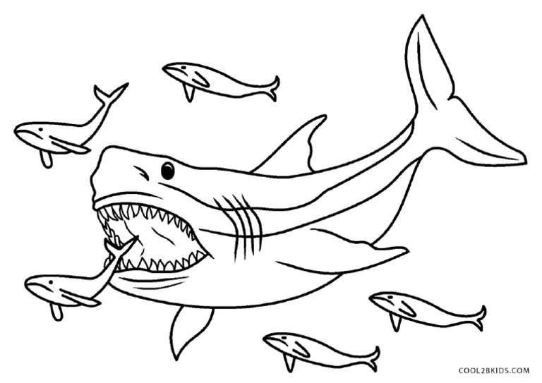 Megalodon Shark Coloring Pages | PDF