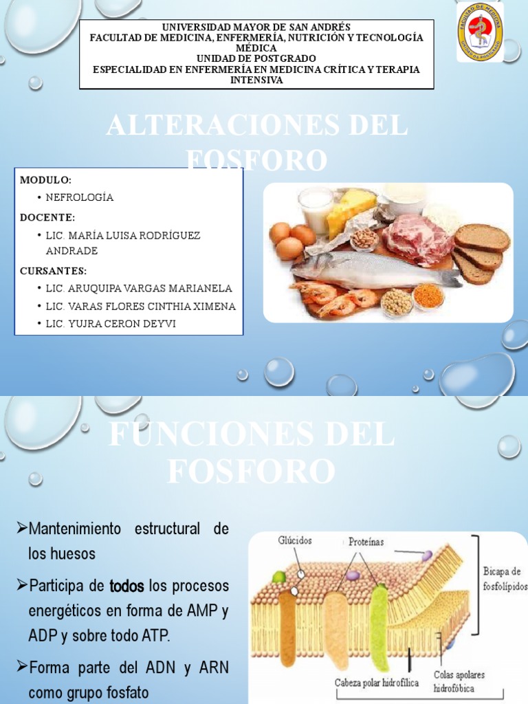 Alteraciones Del Fosforo Hipo e Hiperfosfatemia PRESENTACION | PDF | Calcio | Leche