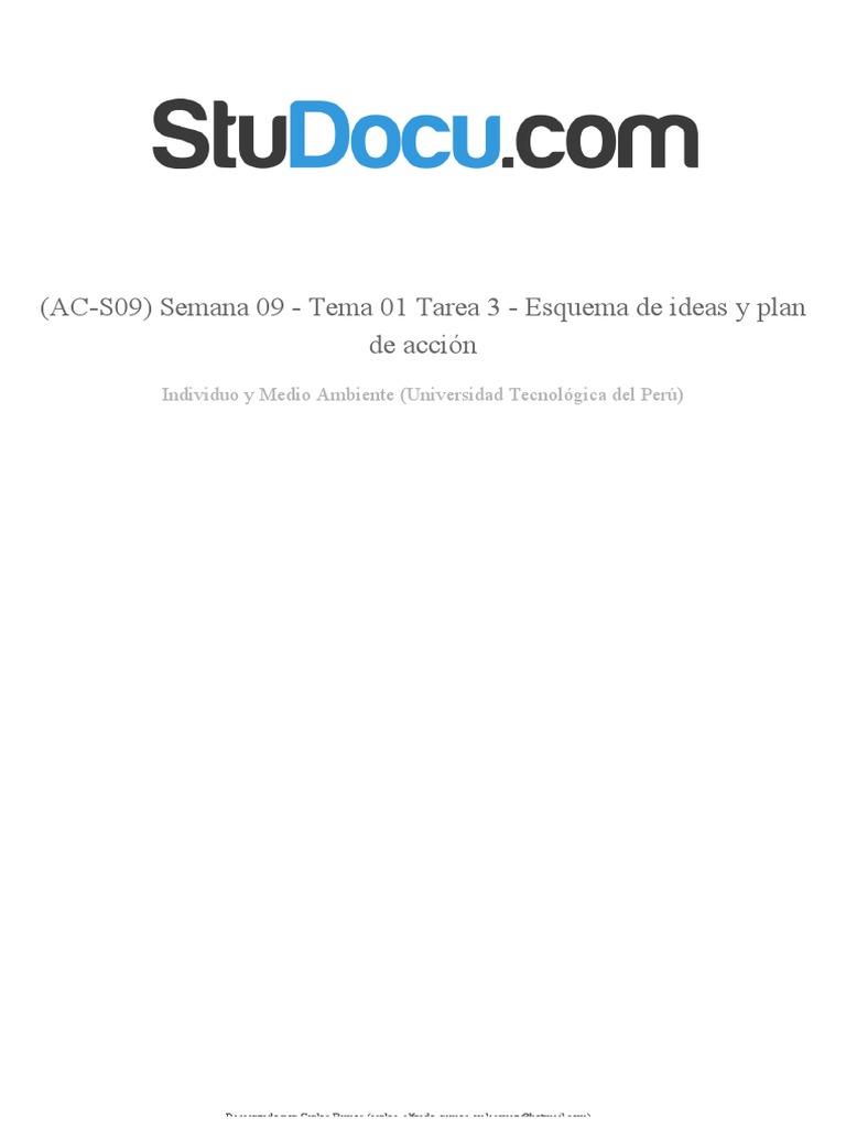 Ac s09 Semana 09 Tema 01 Tarea 3 Esquema de Ideas y Plan de Accion | PDF | Petróleo | Entorno ...