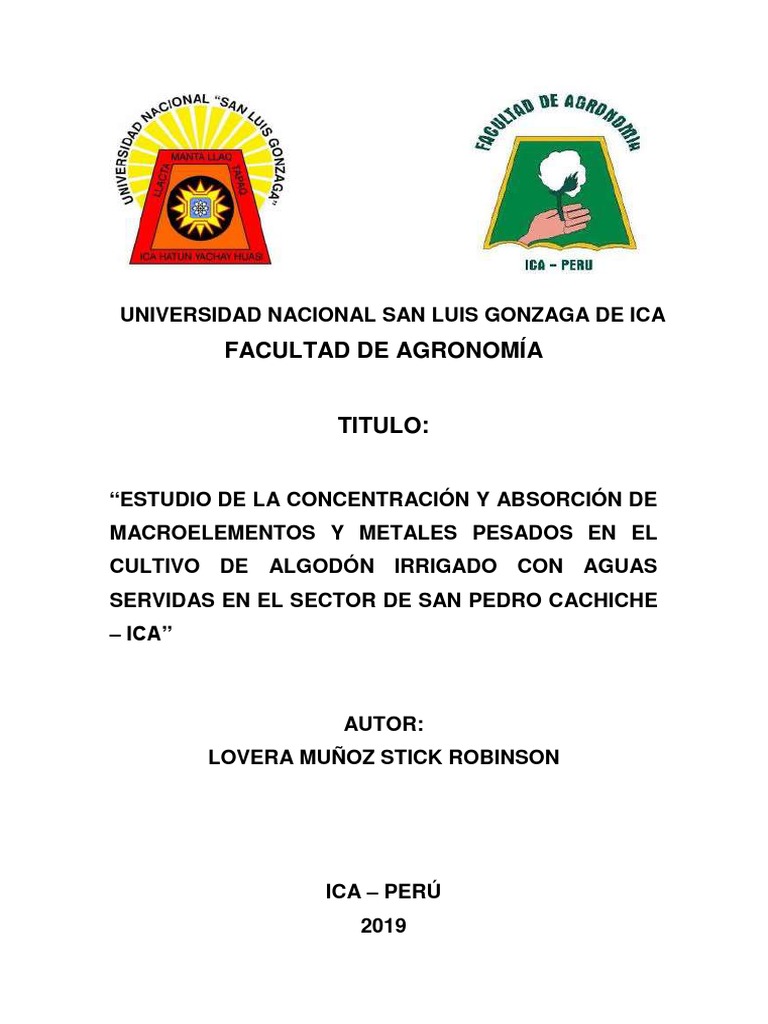 Absorción de Metales en Algodón en Ica | PDF | Fertilizante | Suelo