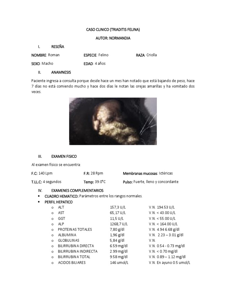 Triaditis Felina | PDF | Hígado | Gastroenterología