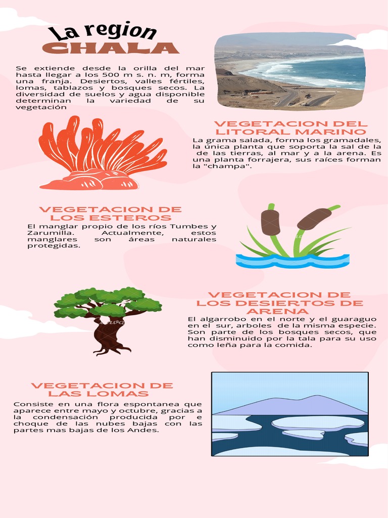 Flora de la Región Chala y su Diversidad | PDF