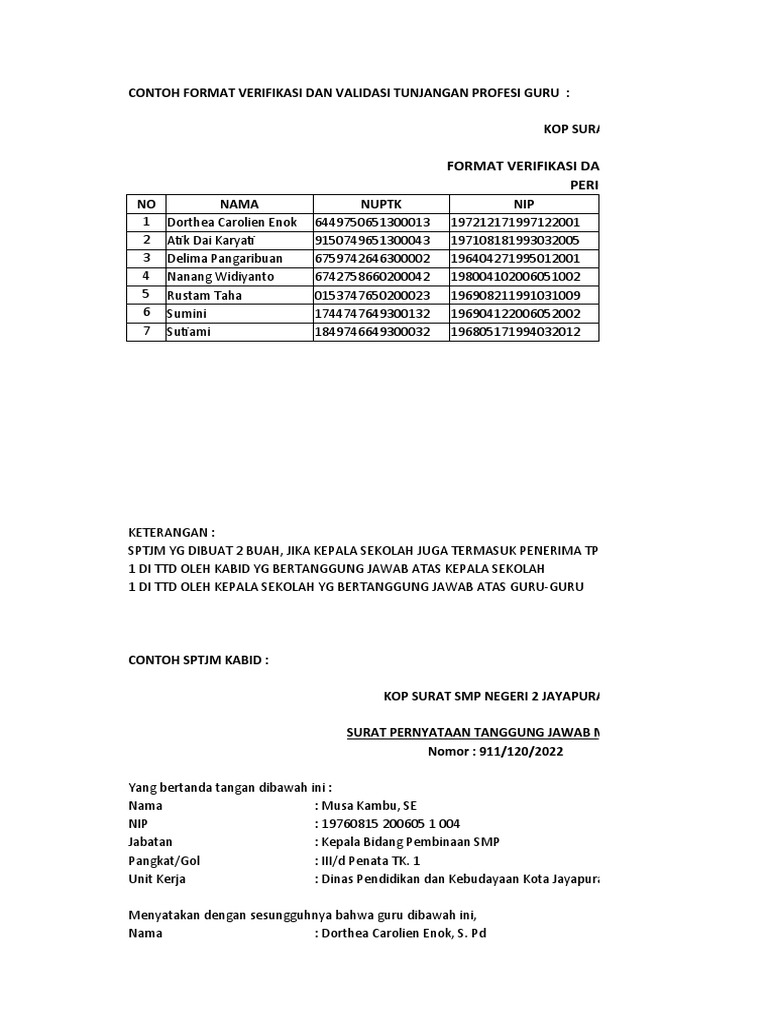 Verification and Validation of Teachers' Professional Allowances | PDF