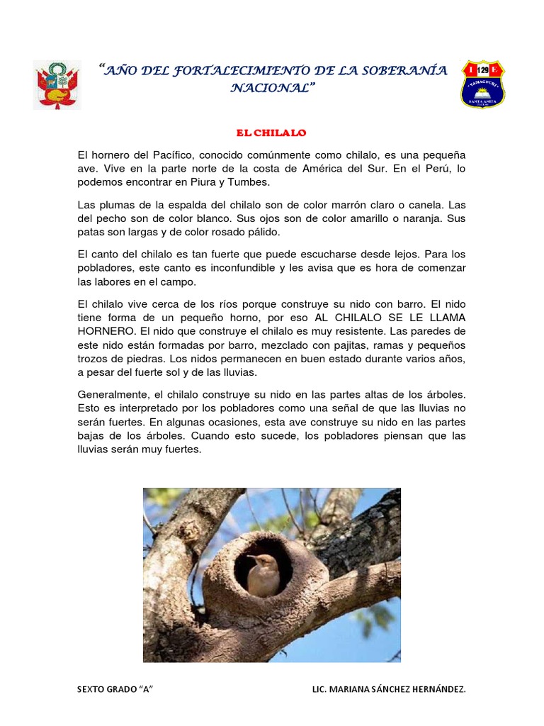 Comunicación - Lectura El Chilalo | PDF | Aves