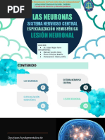 Estructura y Función de la Neurona | PDF | Neurona | Axon