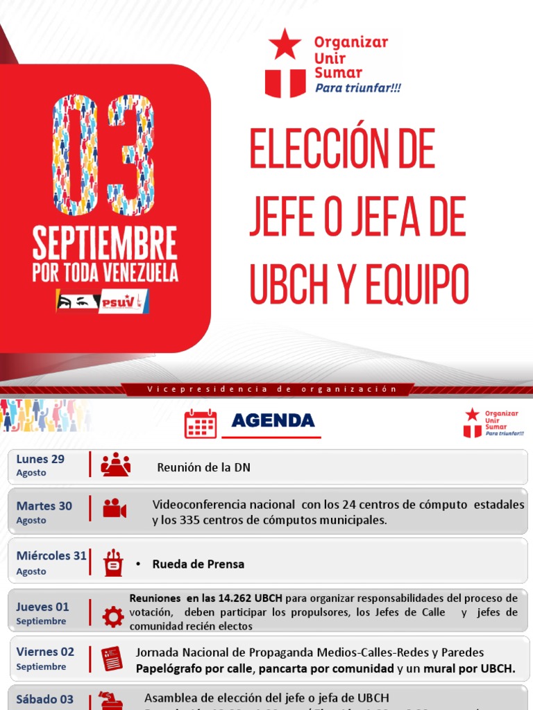 Elección Jefe UBCH: Proceso y Reglas | PDF | Votación | Responsabilidad