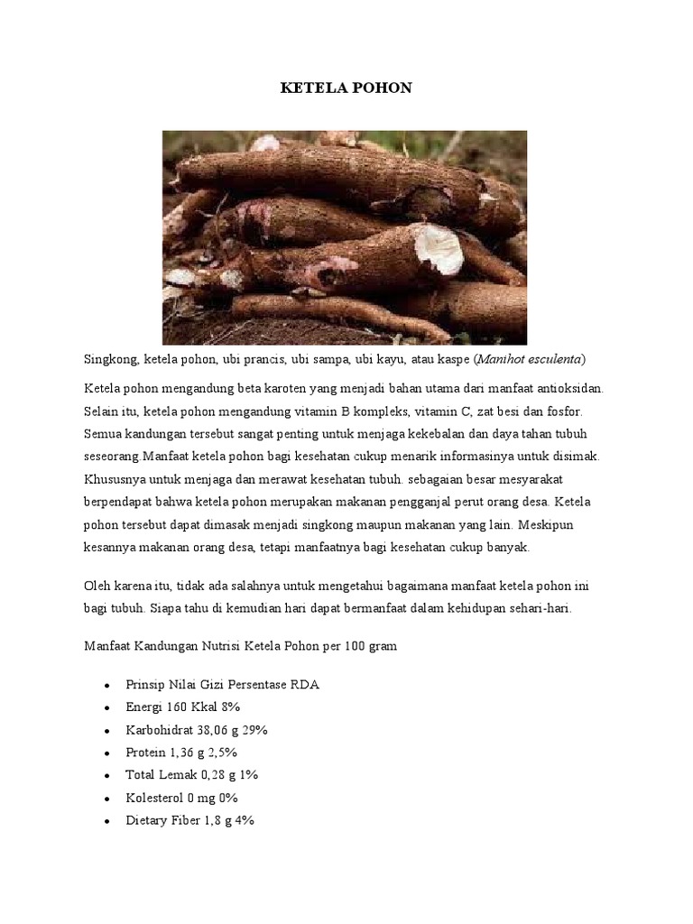 Ketela Pohon | PDF