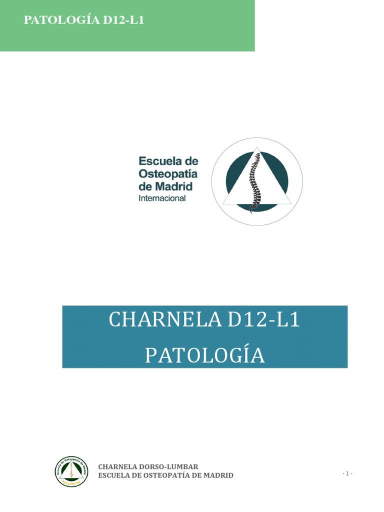 Patología D12-L1 en Charnela Dorsolumbar | PDF | Abdomen | Anatomía