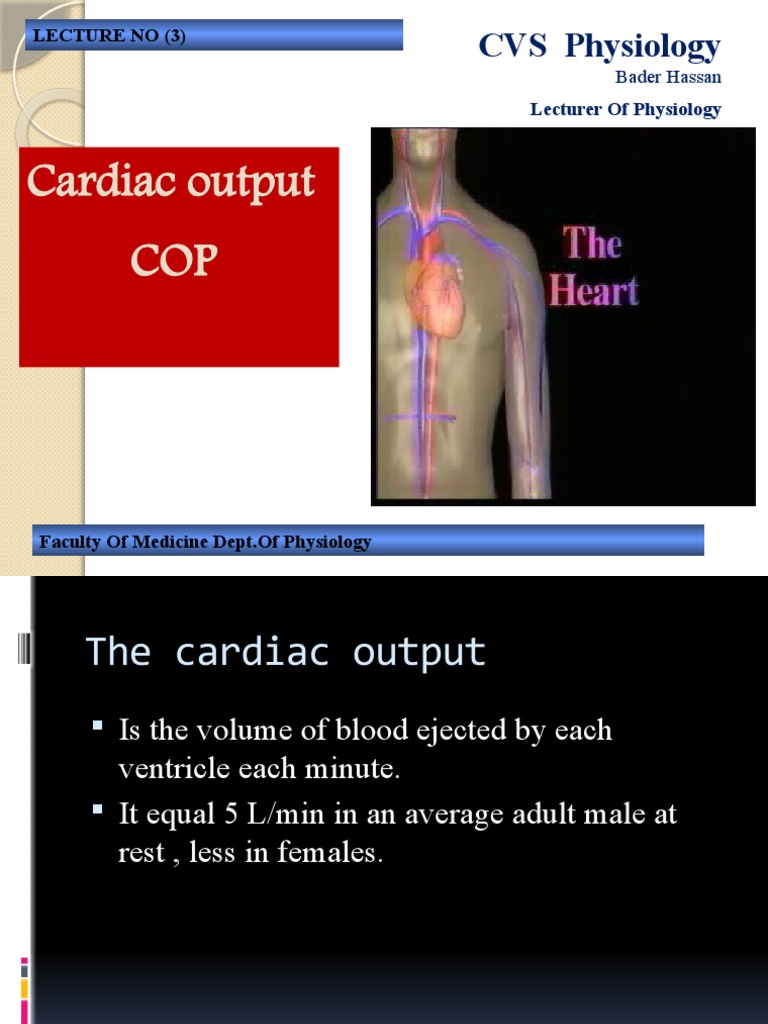 3.cardiac Output | PDF | Heart | Heart Rate