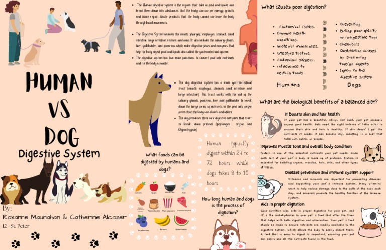 Genbio Brochure | PDF | Human Digestive System | Gastrointestinal Tract