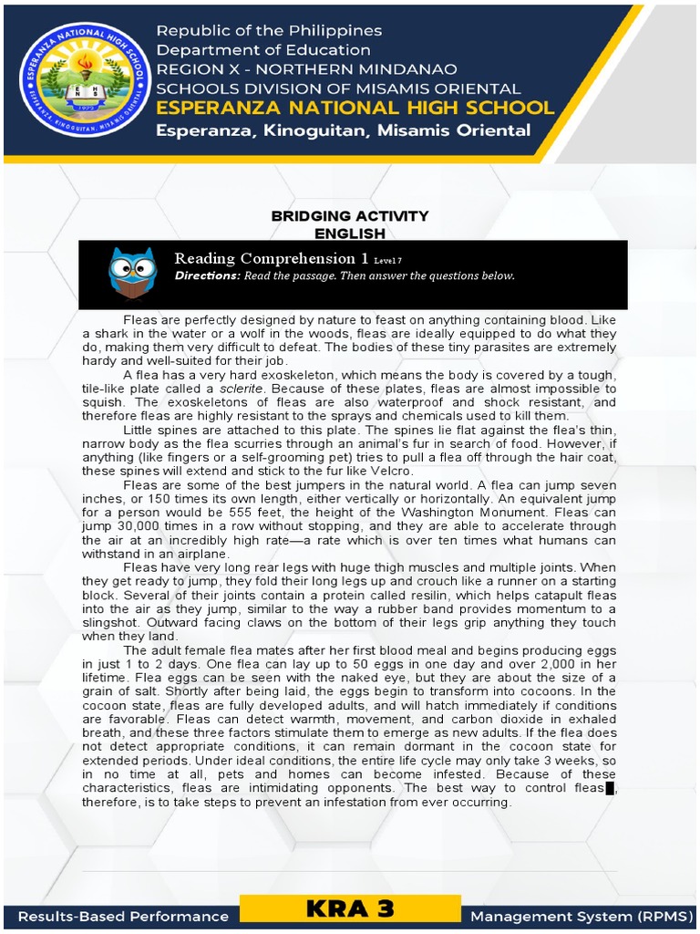 Bridging Activity Pdf