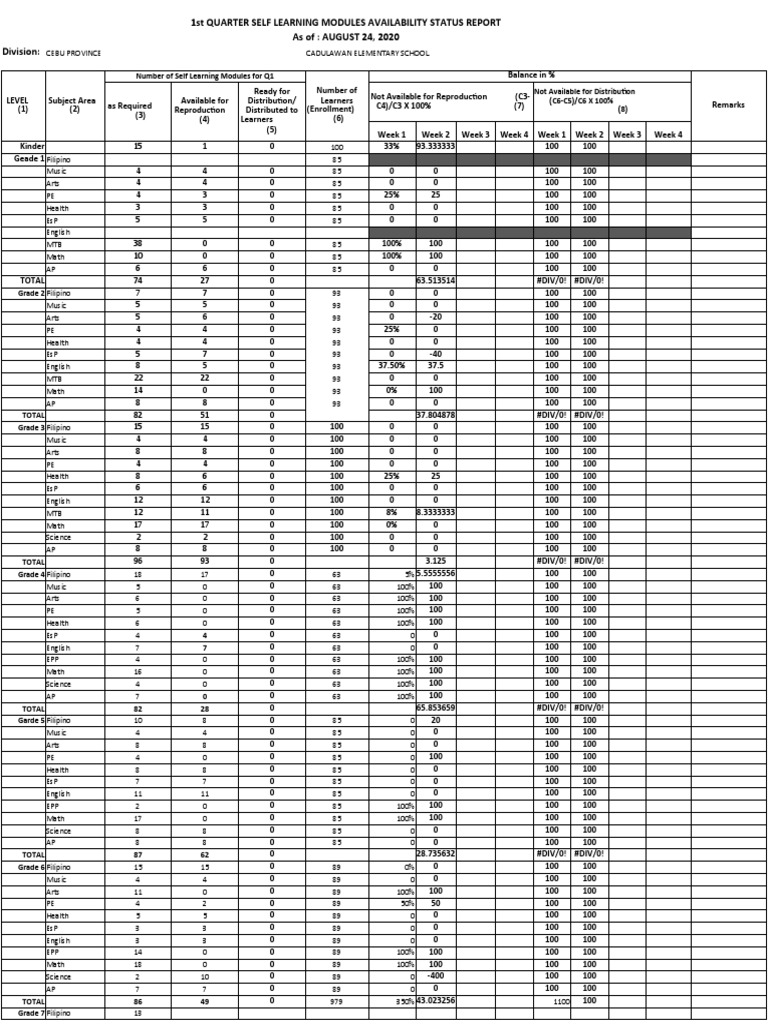 CADULAWAN ES Progress-Monitoring-Tracking-Report-for-SLM-Production-and ...