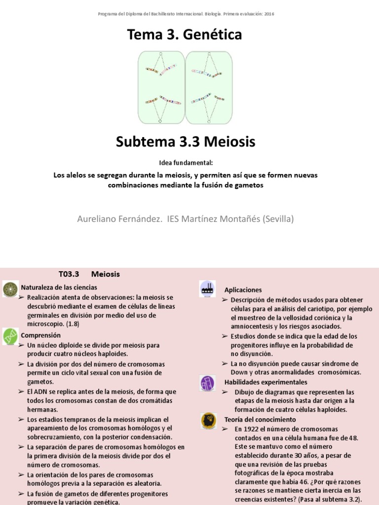 3 3 Meiosis | PDF | Mitosis | Cromosoma