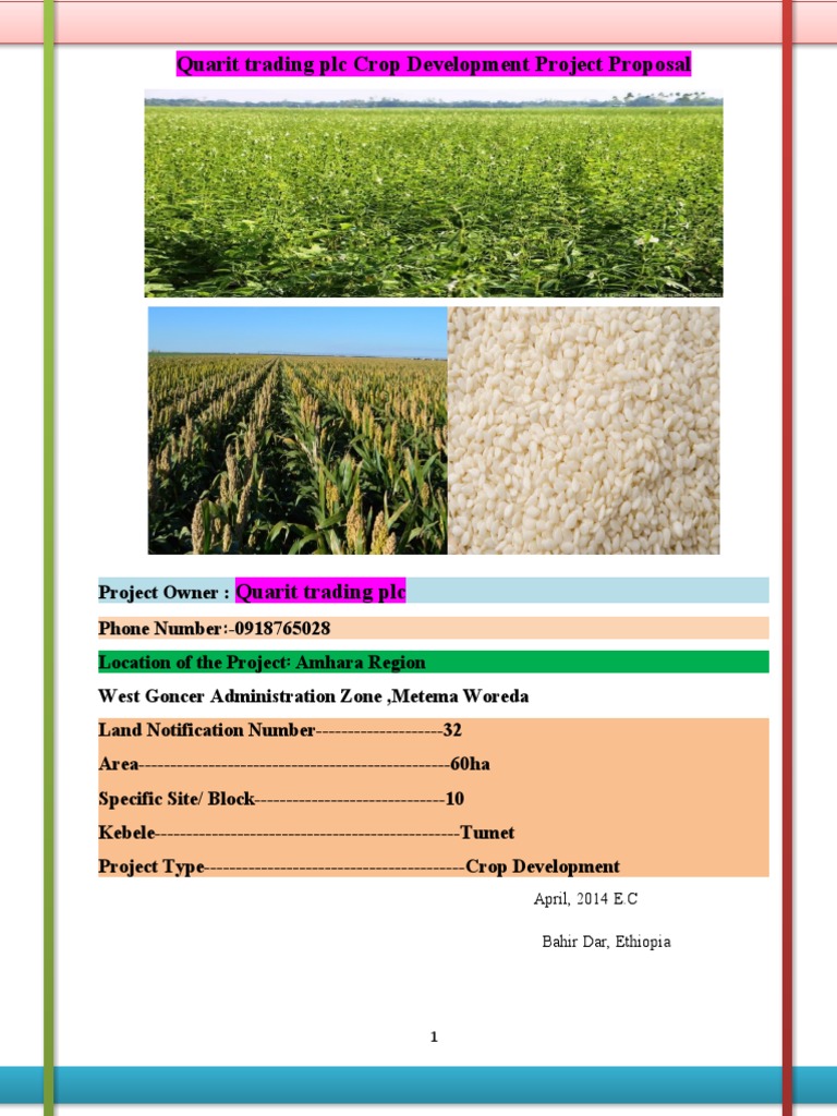 Project 1 | PDF | Agriculture | Smallholding