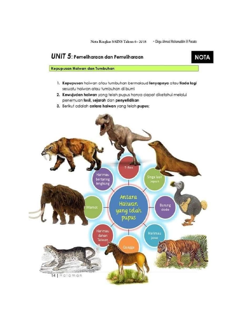 Nota Haiwan Pupus | PDF
