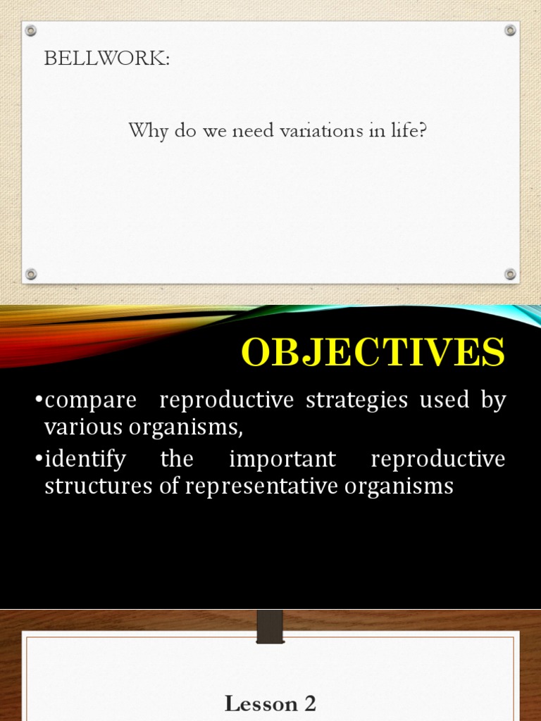 Reproductive Strategies | PDF | Reproduction | Reproductive System