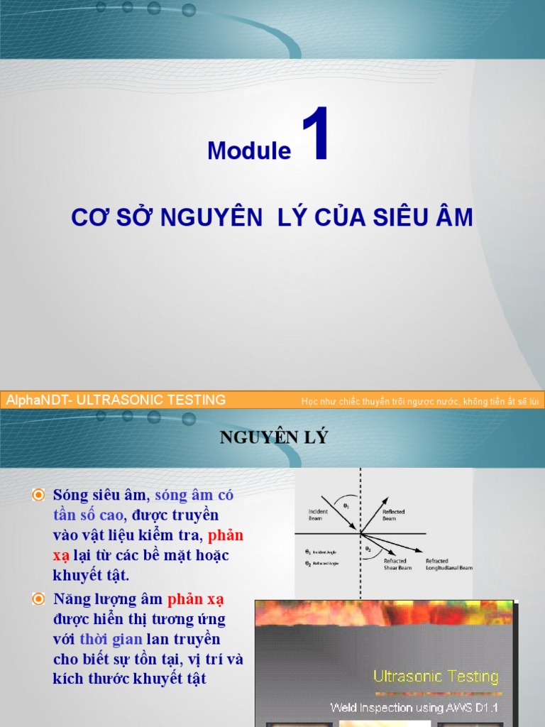 UT2 - Module 1 | PDF