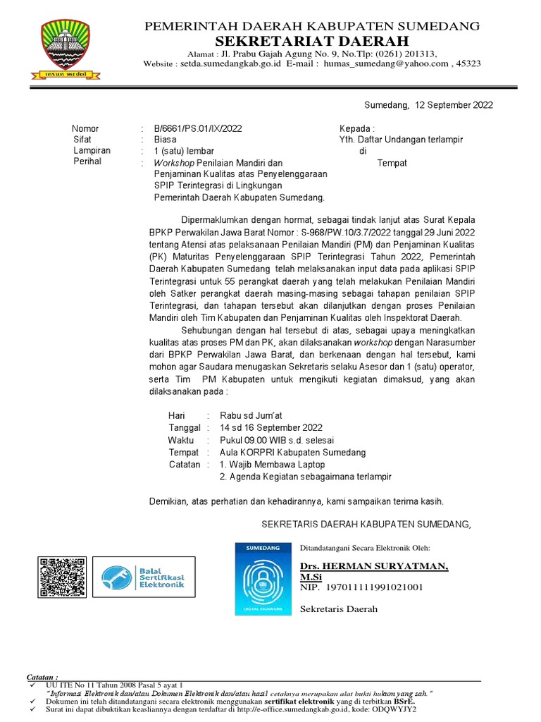 Workshop Penilaian Mandiri Dan Penjamin Kualitas SPIP | PDF