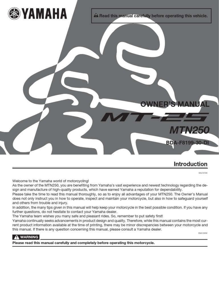 MT 25 | PDF