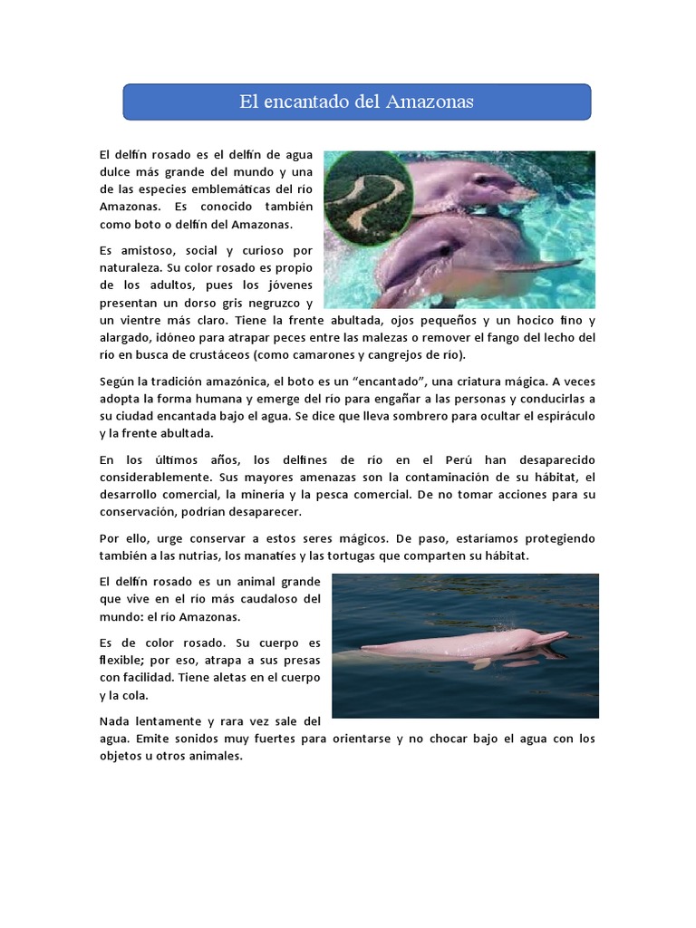 Delfín Rosado: Características y Leyendas | PDF | Hogar, jardinería y ...