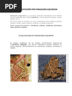 Parásitos en Caballos: Parascaris equorum | PDF | Caballos | Équidos
