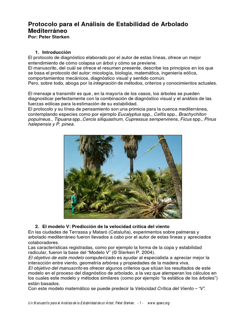 Protocolo | PDF | Teoría | Arboles