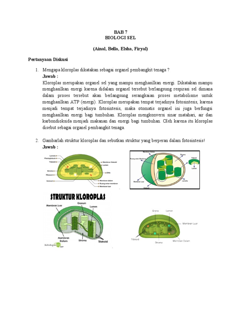 Bab 7 - Biologi Sel | PDF