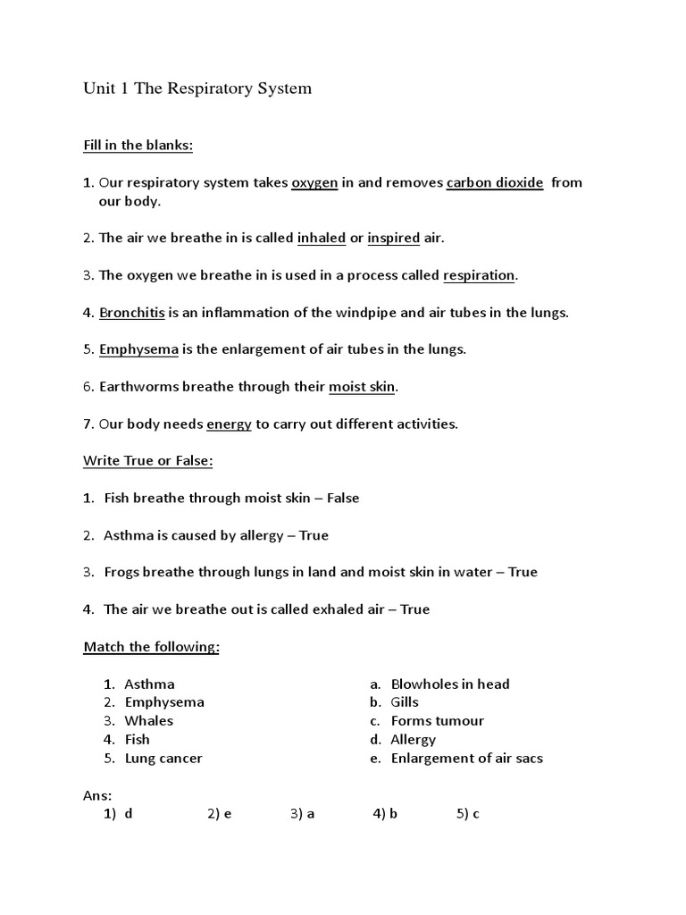 UNIT 1 The Respiratory System | PDF