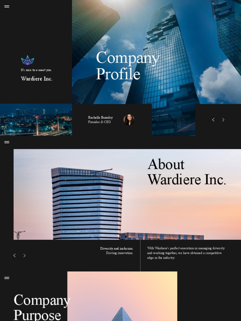 Company Profile: Wardiere Inc | Download Free PDF | Audit | Consultant