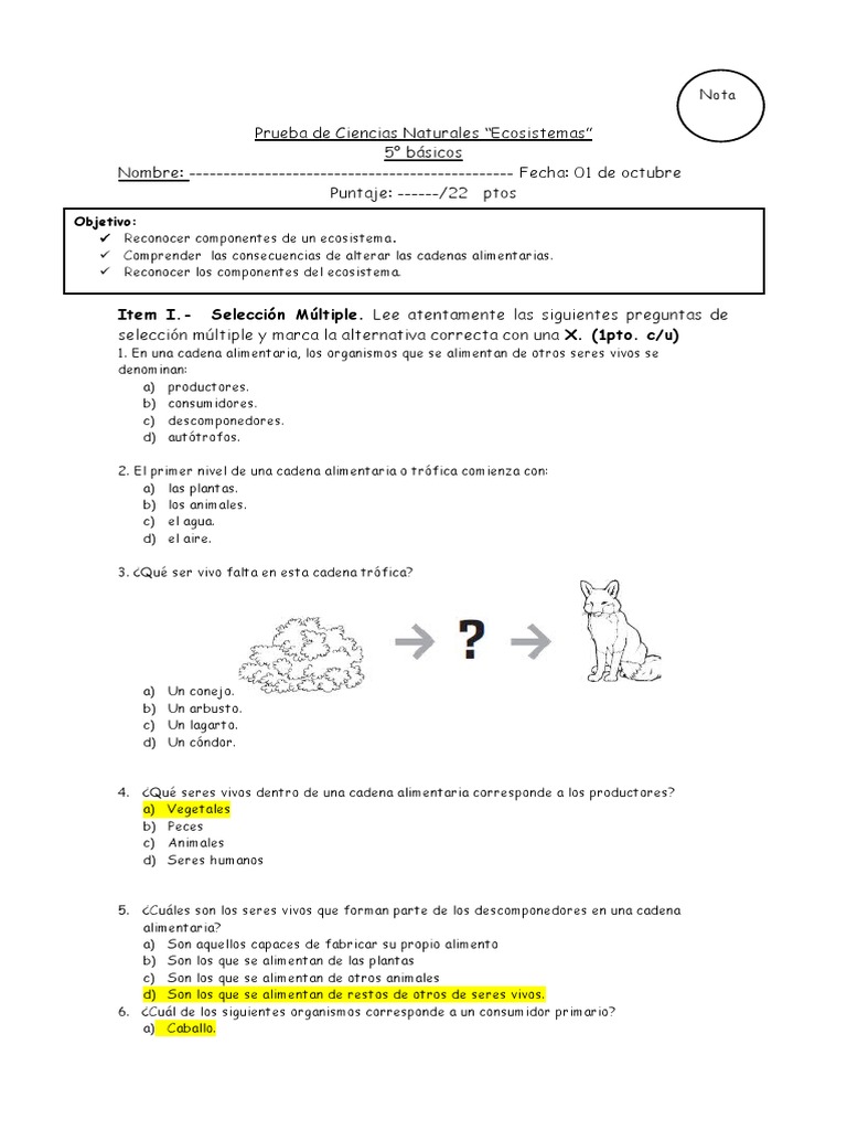 Prueba 5 Basico Las Cadenas Alimentarias | PDF | Red alimentaria ...